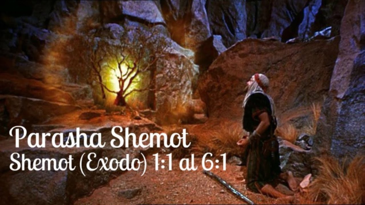 ¡Shabbat Shalom! Parashá Shemot – CONEXIÓN AMARÁS A ISRAEL