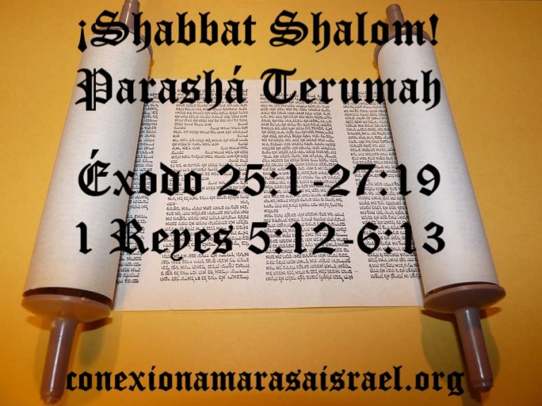 ¡Shabbat Shalom! Parashá Terumah – CONEXIÓN AMARÁS A ISRAEL