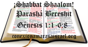 ¡Shabbat Shalom! Parashá Bereshit – CONEXIÓN AMARÁS A ISRAEL